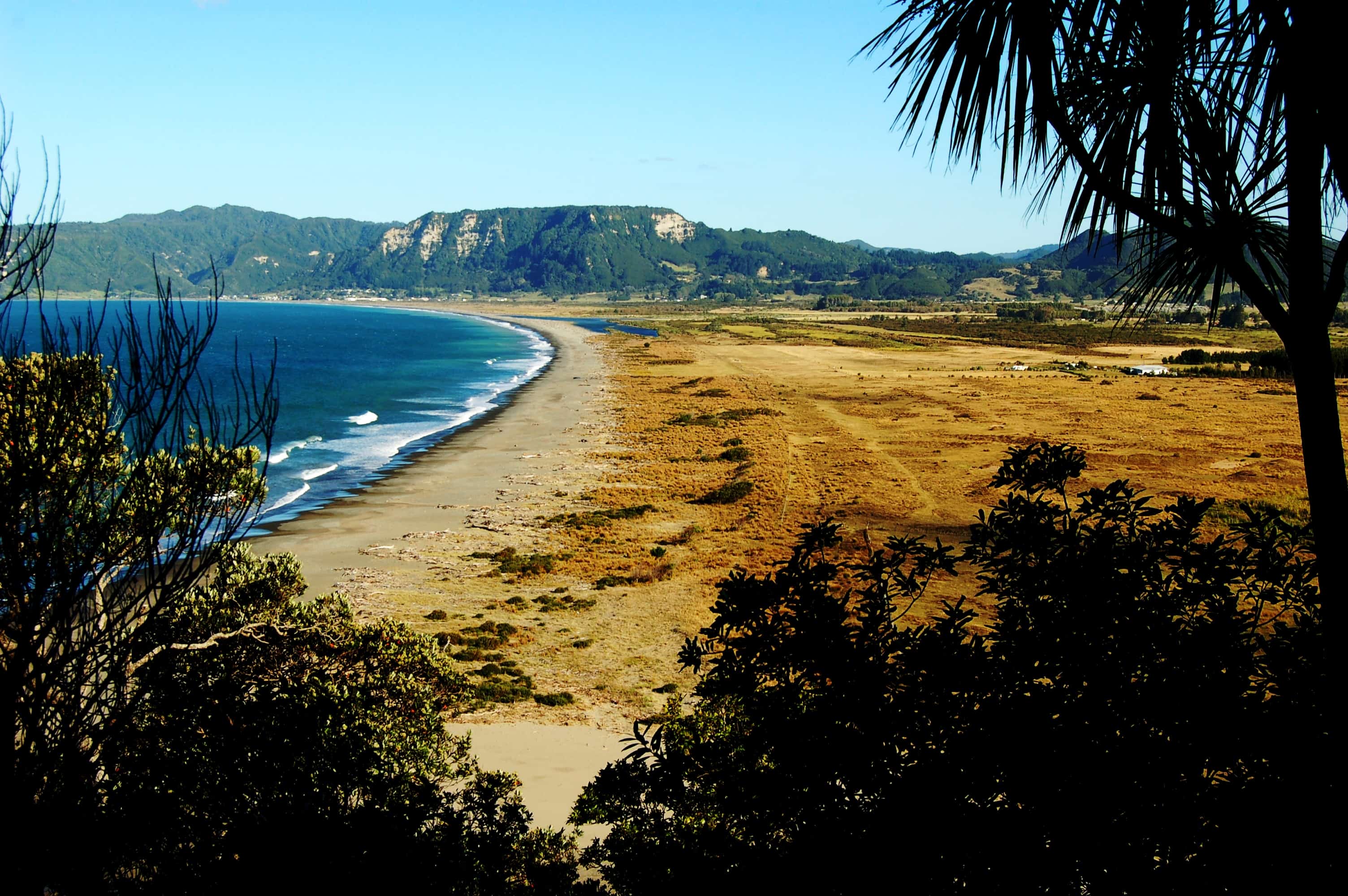 Technology Gives New Lifeline to Major Project | EIT Hawke's Bay and ...