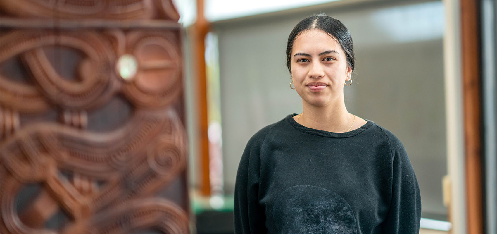 Free | Te Pōkaitahi Reo Māori (Reo Rua) (Kaupae 3) | NZ Certificate in ...