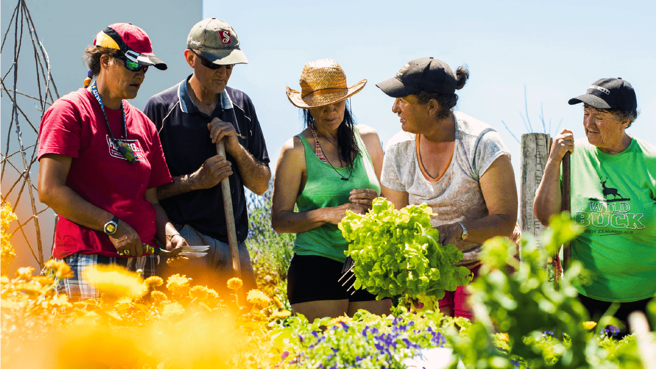 Mahinga Kai – Te Hoata (Kaupae 3) | NZ Certificate in Māori Traditional ...