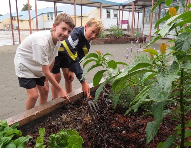 Gardening proves popular at Gisborne Intermediate School | EIT Hawke's ...