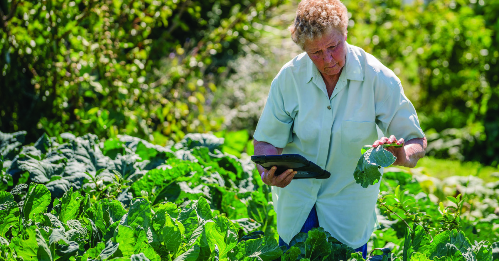 EIT Runs Growing Programmes Throughout The Bay | EIT Hawke's Bay and ...