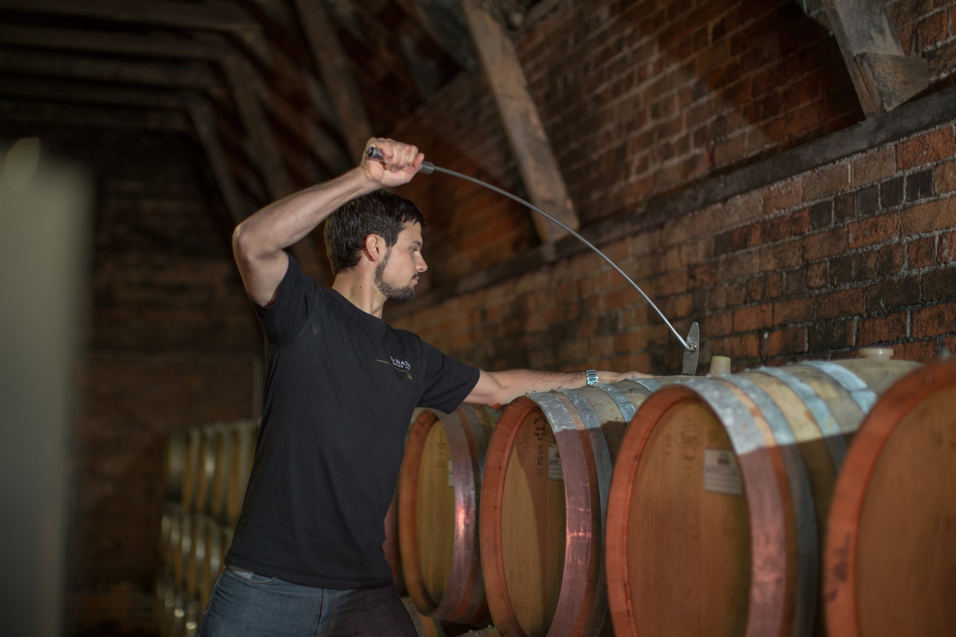 Substantial scholarship up for grabs for viticulture & wine student ...