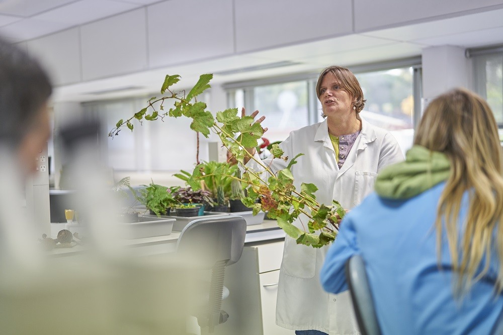 EIT’s School of Viticulture and Wine Science introduces new fees-free ...