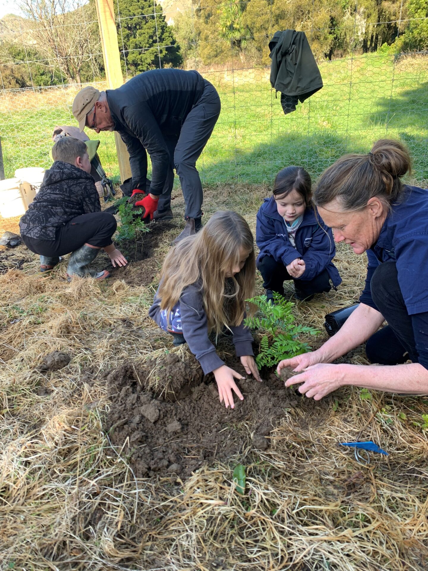 EIT horticulture team helps rescue rare Ngutukākā (Kakabeak) plants ...