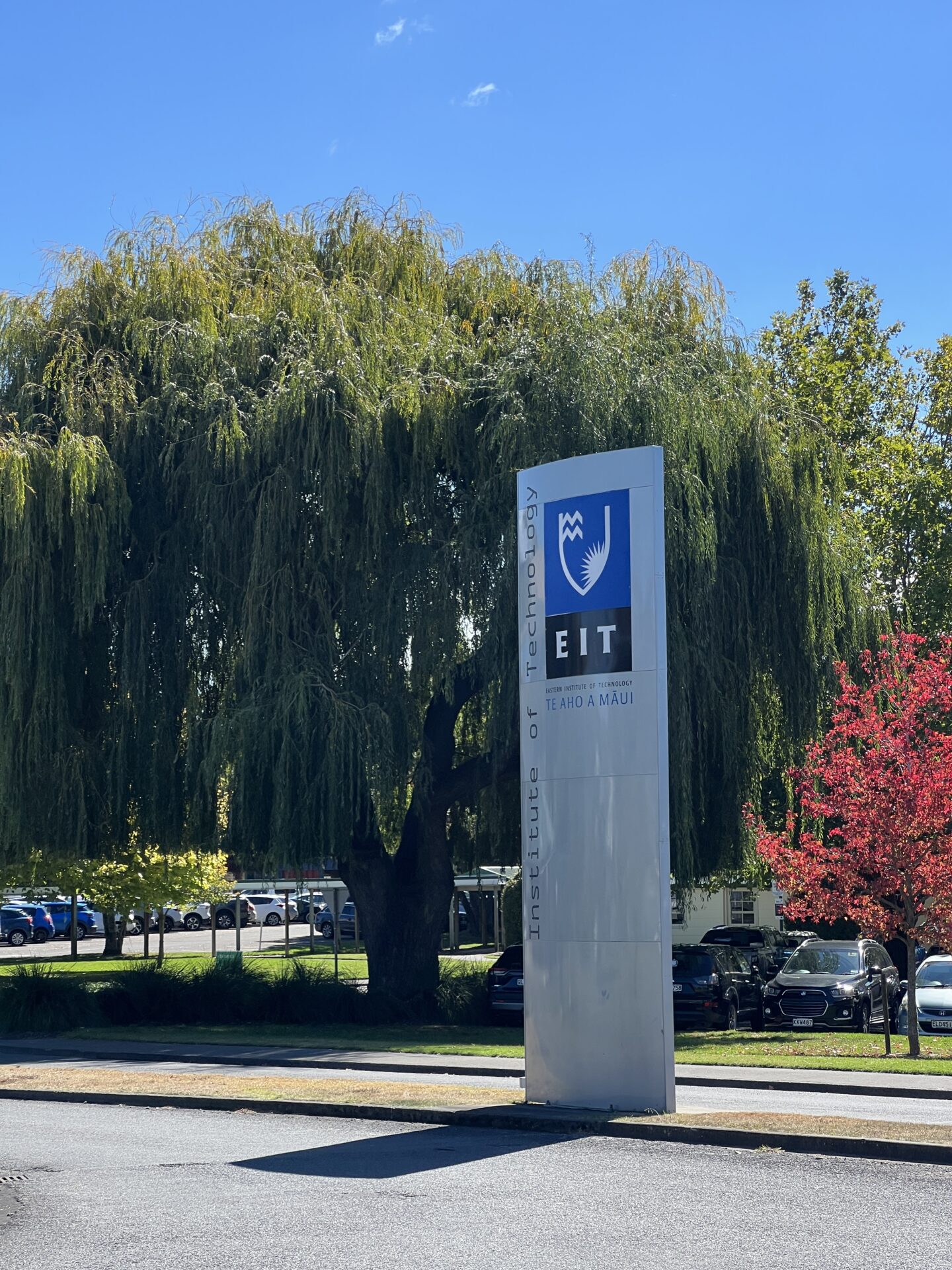 EIT enrolments continue to grow on the back of record year | EIT Hawke ...